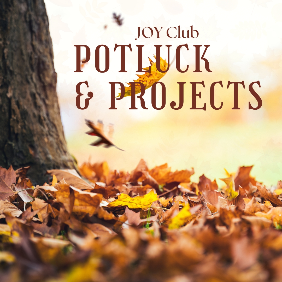 JOY Club Potluck & Projects - Faith Methodist Church | Richmond, TX & Online!